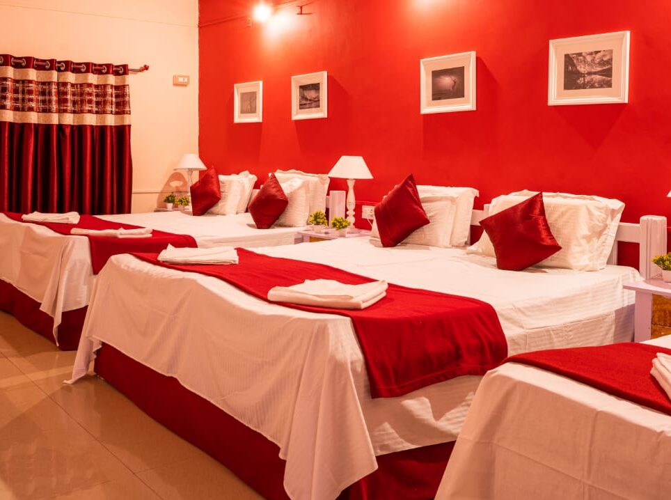 Panther Jungle Stay Resort, Dandeli: Package Details & Price
