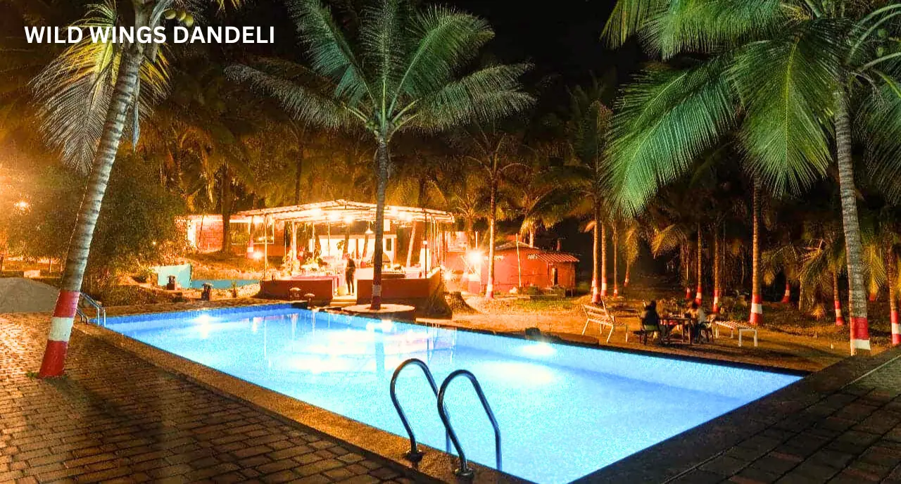 Wild Wings Jungle Resort, Dandeli | Package Details & Prices 2025